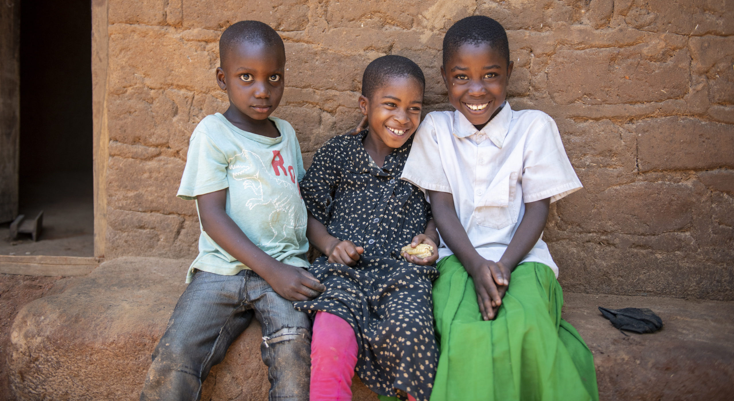 Pediatric HIV Treatment Optimization - Elizabeth Glaser Pediatric AIDS ...